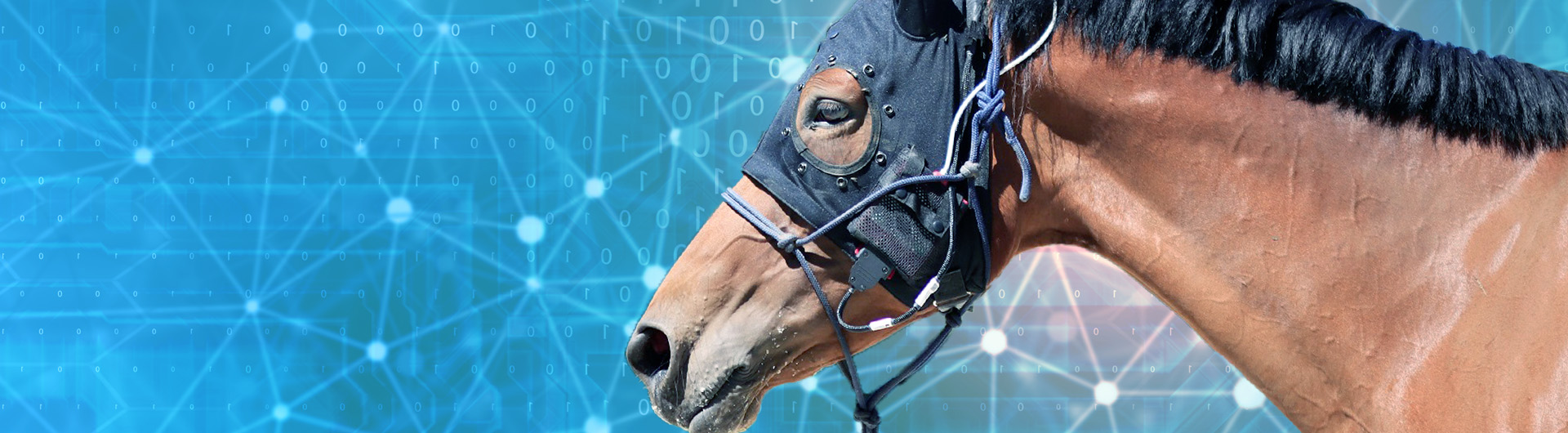 Ultra-mobile EEG monitoring of performance and stress level in sport ...